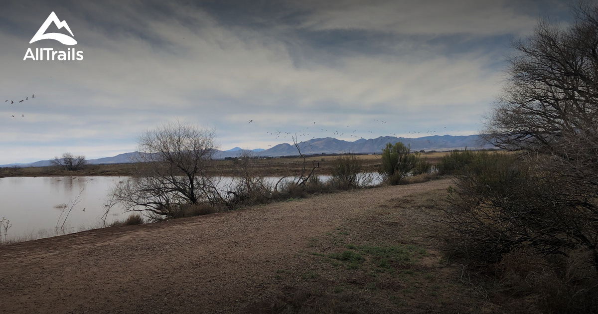 Best hikes and trails in Whitewater Draw Wildlife Area | AllTrails