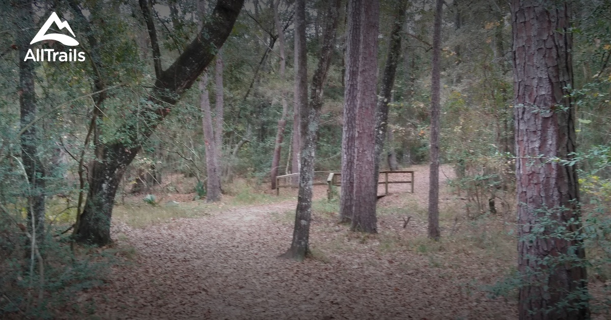 Best hikes and trails in Bear Branch Park | AllTrails