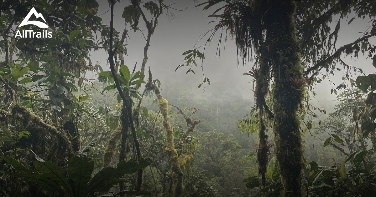 Best hikes and trails in Reserva Ecológica Mindo Nambillo | AllTrails