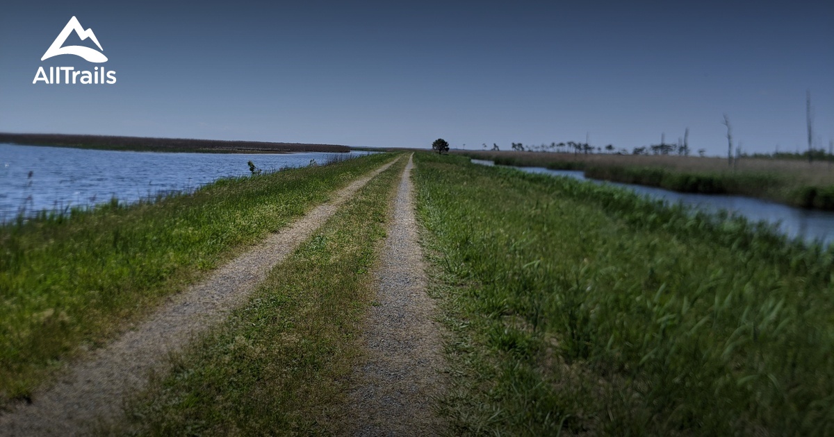 Best hikes and trails in Mackay Island National Wildlife Refuge | AllTrails