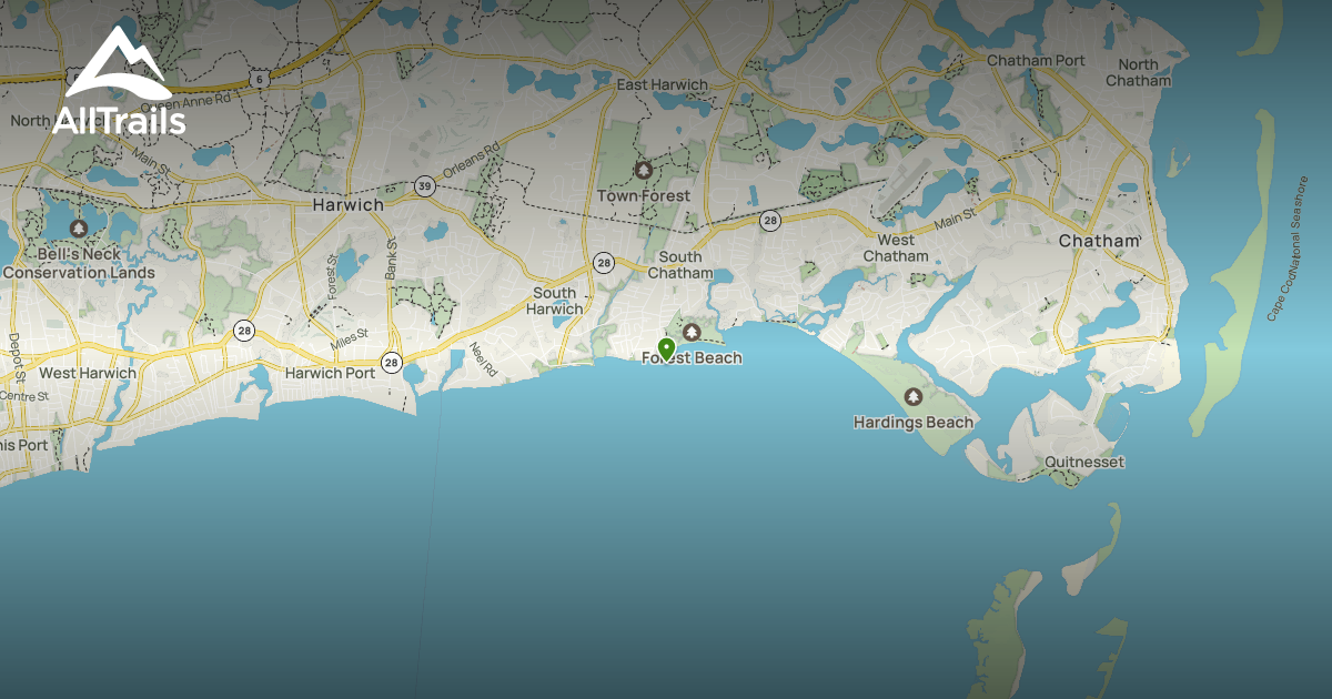 Best hikes and trails in Forest Beach | AllTrails