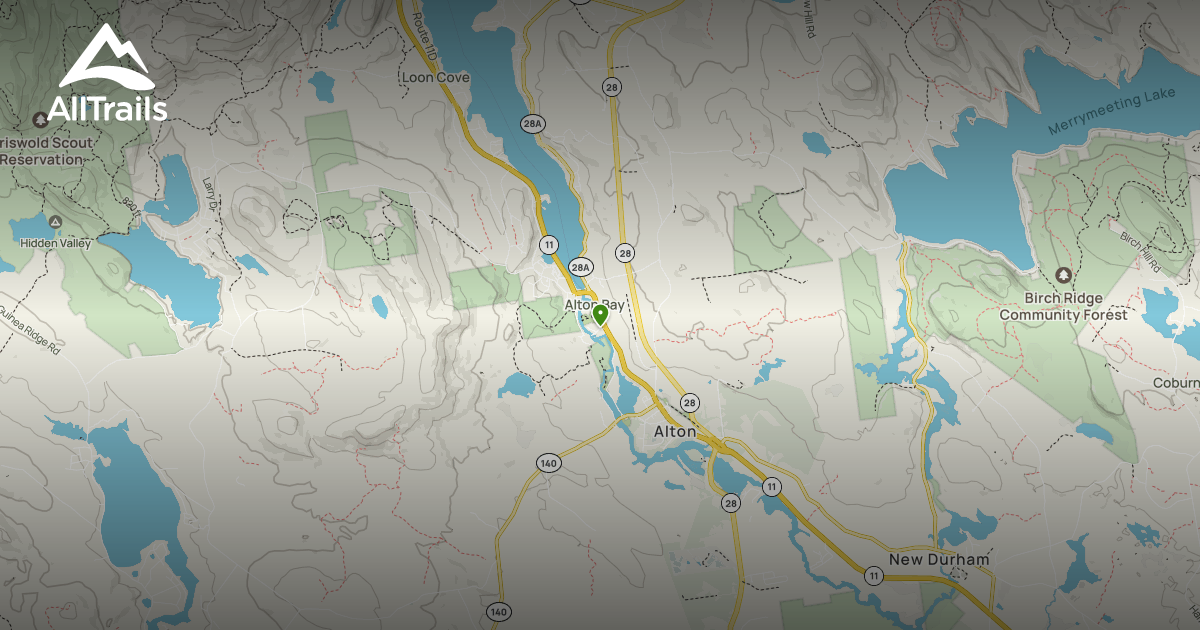 Best hikes and trails in Levy Park | AllTrails