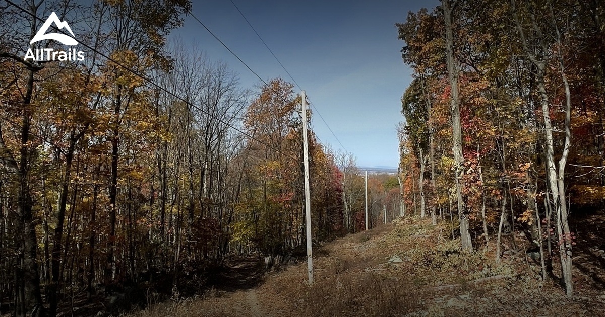 Best hikes and trails in Rolling Ridge Conservancy | AllTrails