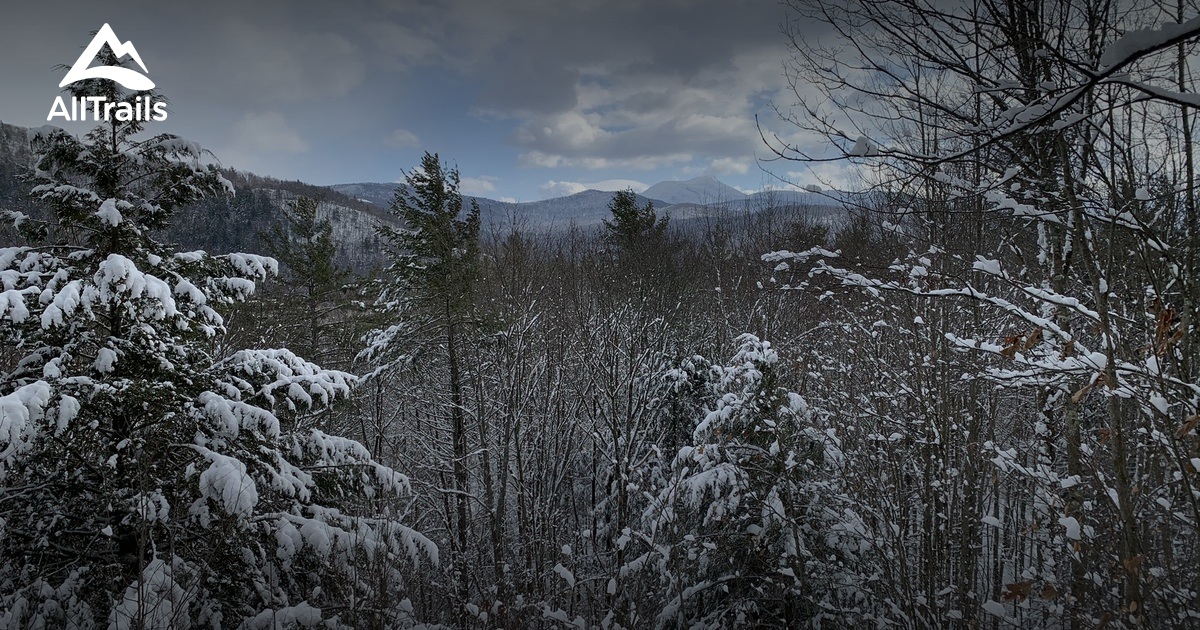 Best hikes and trails in Green Mountain Audubon Center | AllTrails