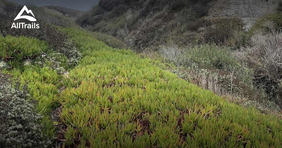 Best hikes and trails in Bonny Doon Beach Access County Park | AllTrails