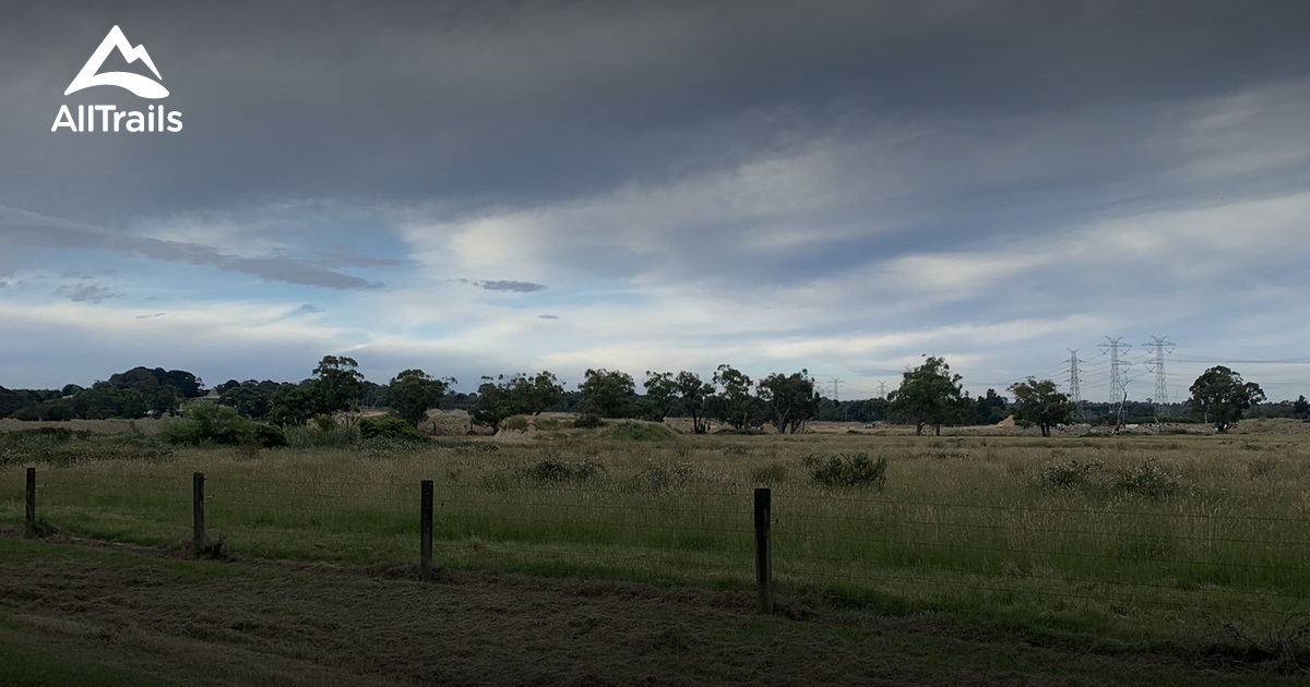 Best hikes and trails in Winton Wetlands | AllTrails