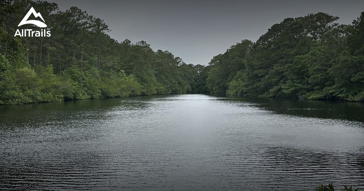 Best hikes and trails in Hamlin Park | AllTrails