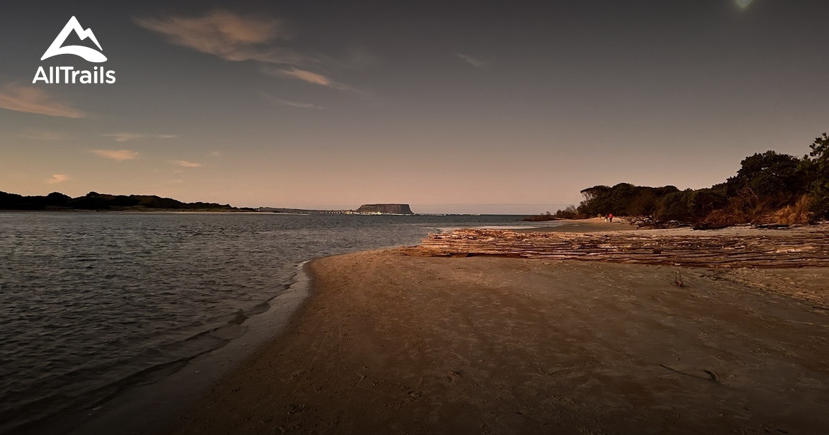 Best hikes and trails in Peggs Beach Conservation Area | AllTrails