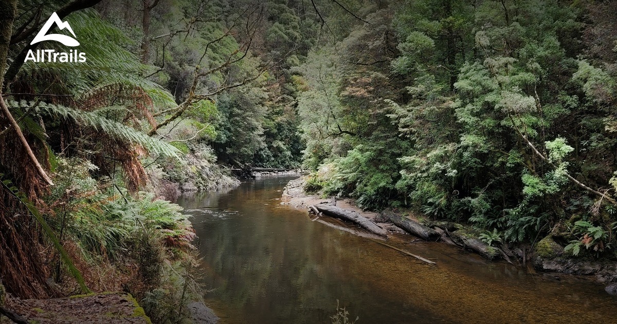 Best hikes and trails in Meredith Range Regional Reserve | AllTrails