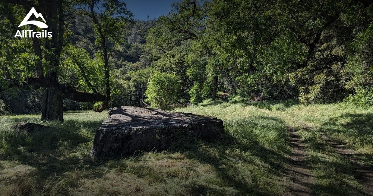 Best hikes and trails in Big Chico Creek Ecological Reserve | AllTrails