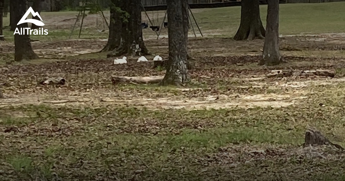 Best hikes and trails in Bright Park | AllTrails