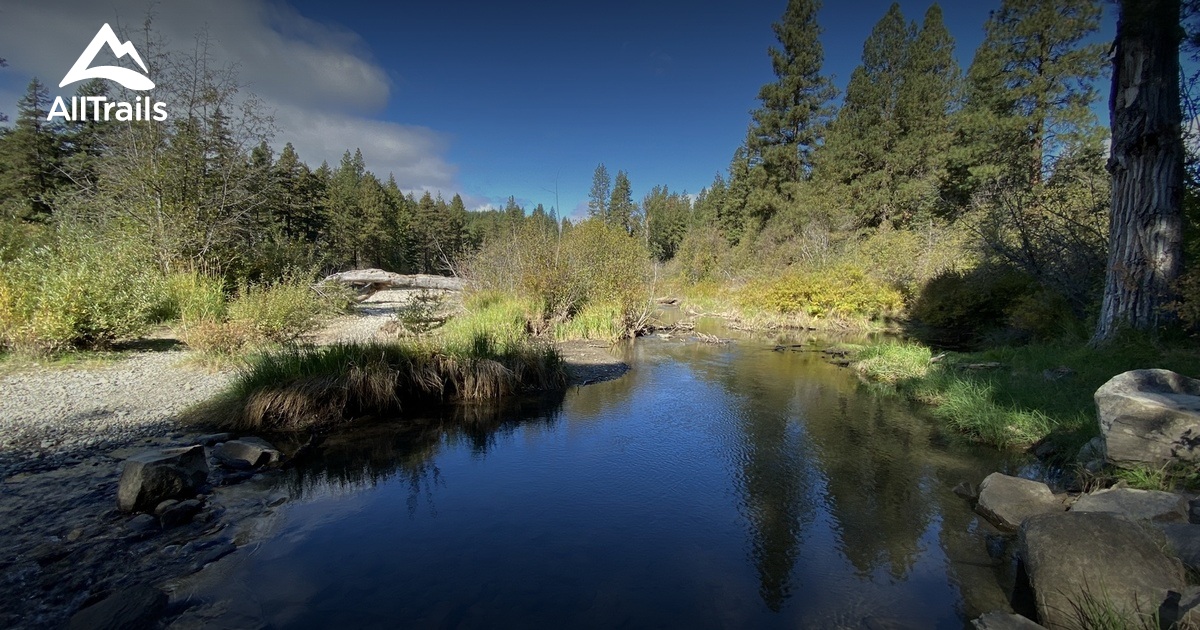 Best mountain biking trails in Suncadia Conservancy | AllTrails