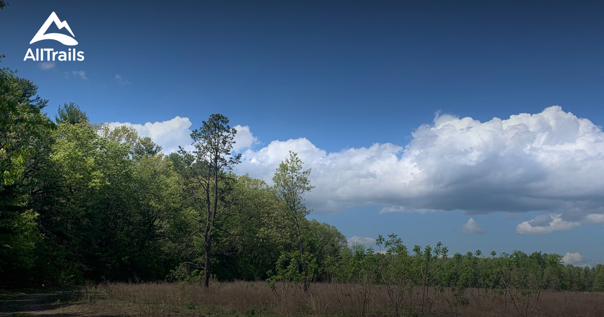 Best easy trails in Southwick Wildlife Management Area | AllTrails