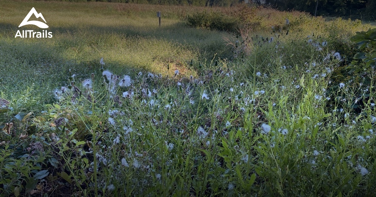 Best hikes and trails in Great Meadows Conservation Trust Wood Parcel ...