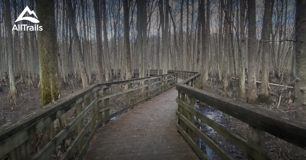 Best hikes and trails in William B. Clark State Natural Area | AllTrails