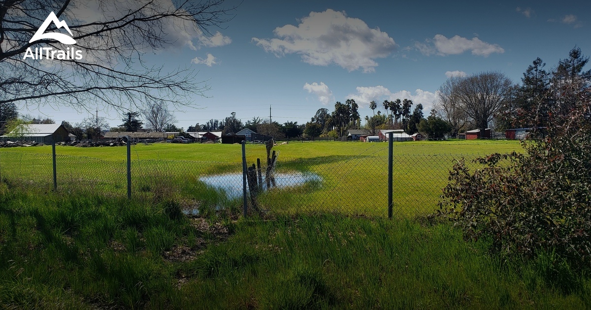 Best hikes and trails in Prince Greenway Park | AllTrails