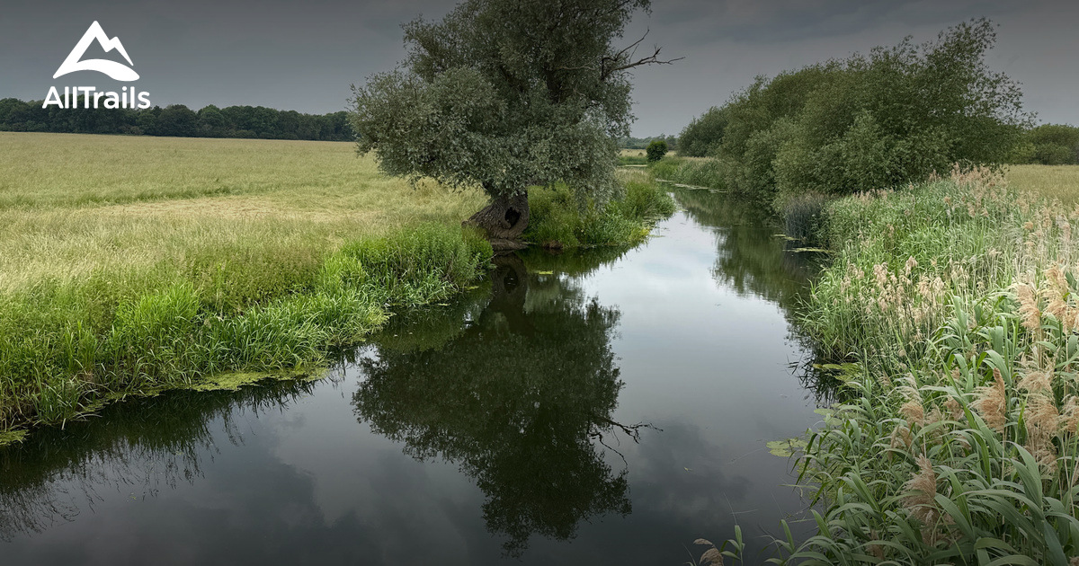 Best hikes and trails in Godmanchester Nature Reserve | AllTrails