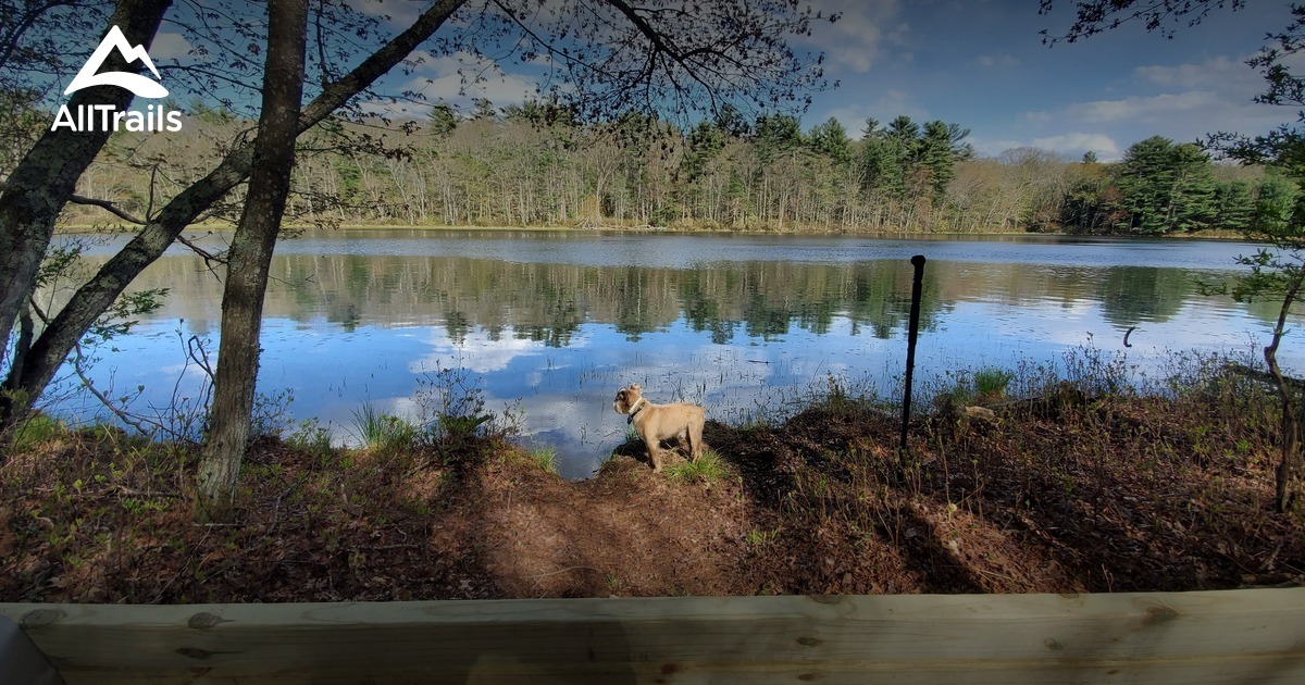 Best short trails in Hawkins Pond | AllTrails