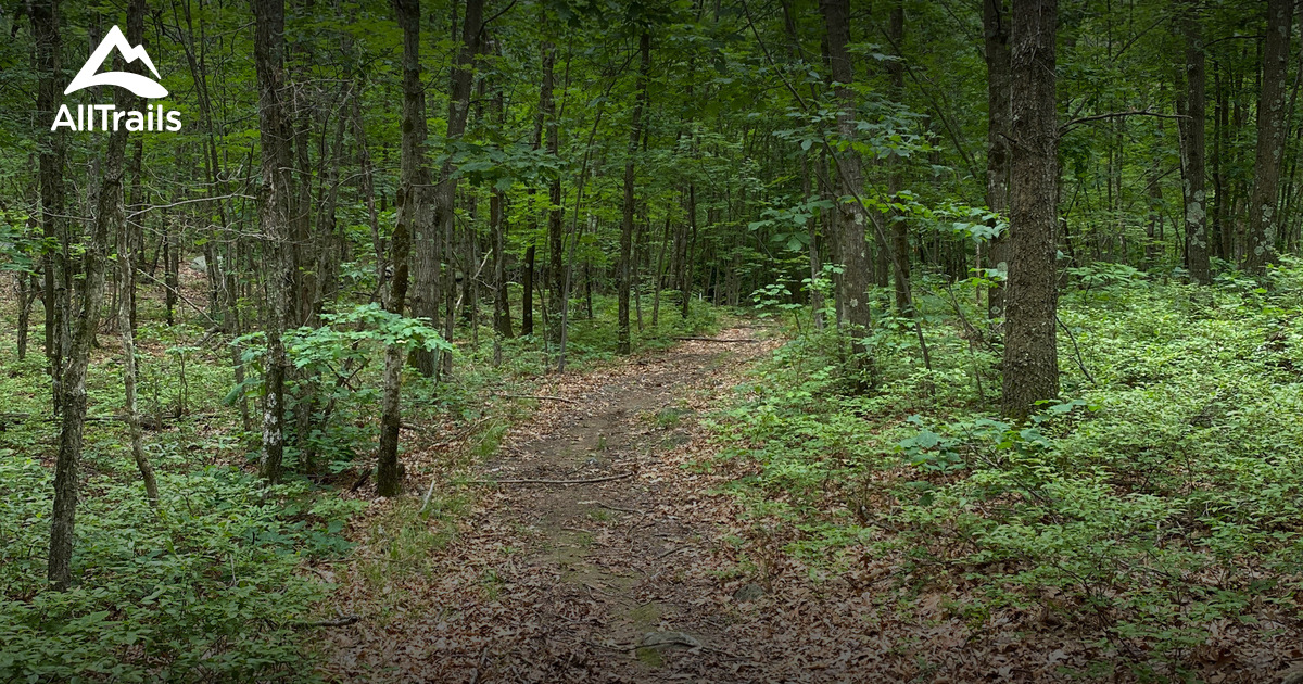 Best short trails in Blackall Family and Ballou Farm Preserve | AllTrails