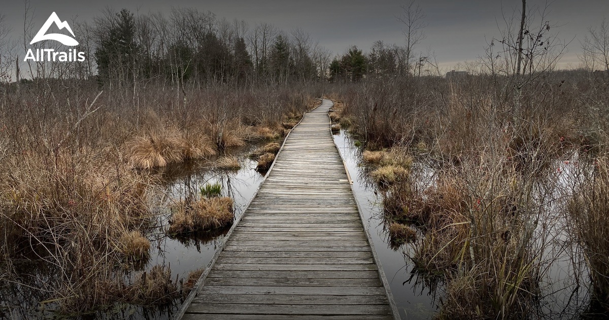 Best hikes and trails in Partridge Island Conservation Area | AllTrails