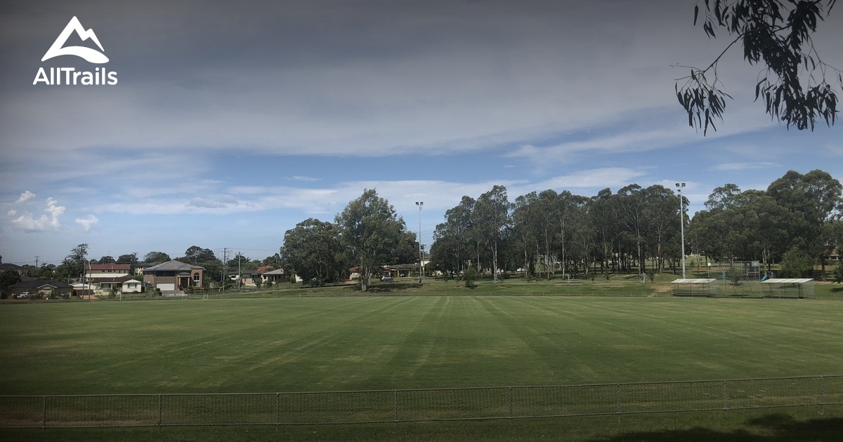 Best hikes and trails in Graham Reserve | AllTrails