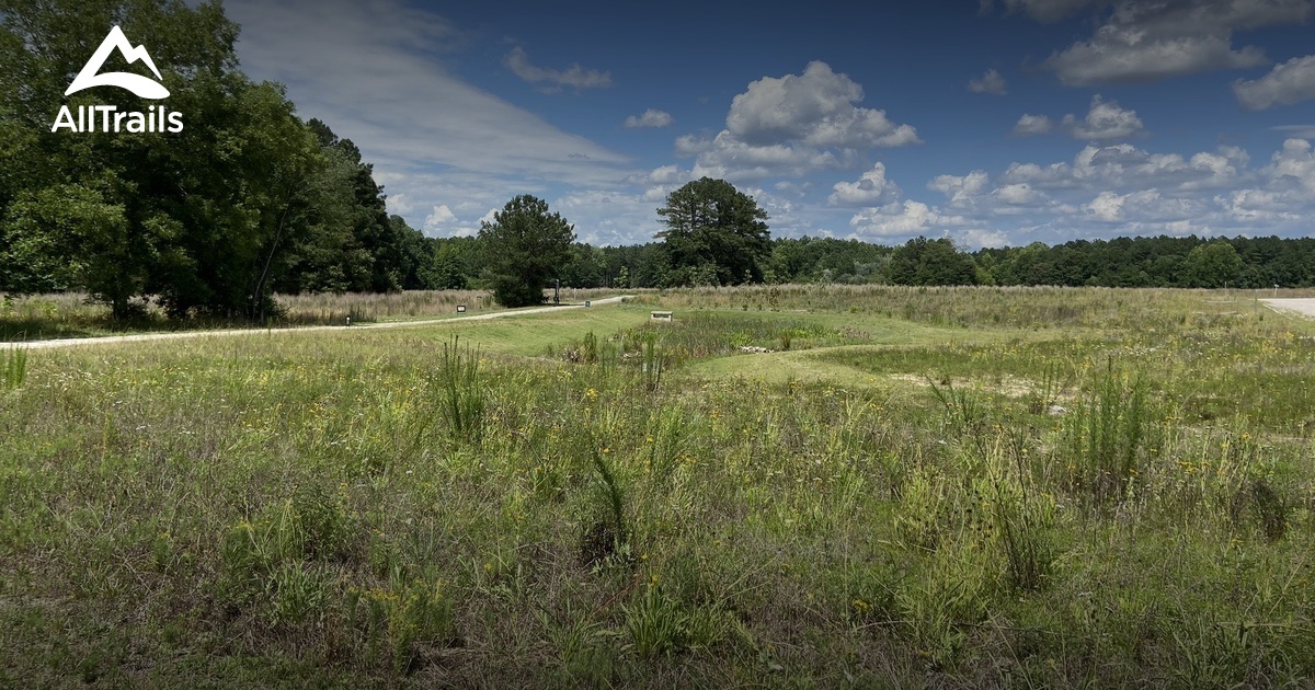 Best hikes and trails in Sandy Pines Preserve | AllTrails