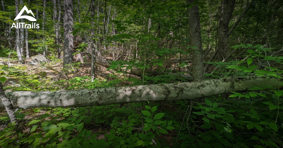 Best hikes and trails in Mount Surprise Preserve | AllTrails