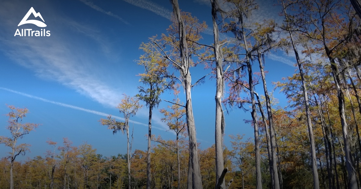 Best hikes and trails in Ocheesee Gardens | AllTrails