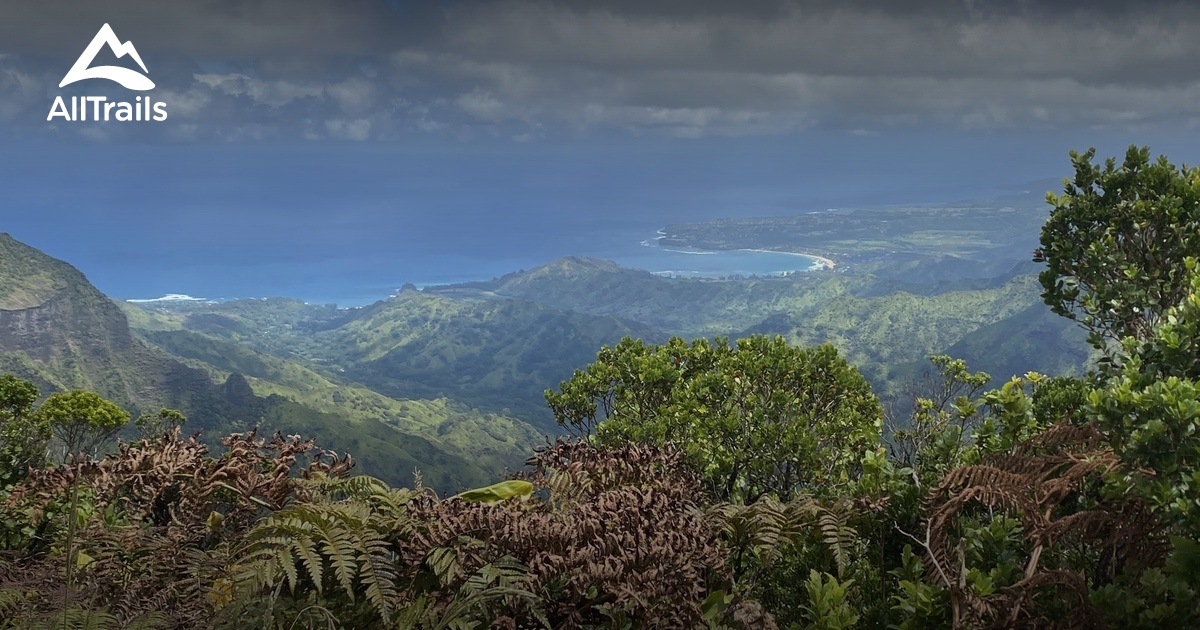 10 Best hikes and trails in Na Pali-Kona Forest Reserve | AllTrails