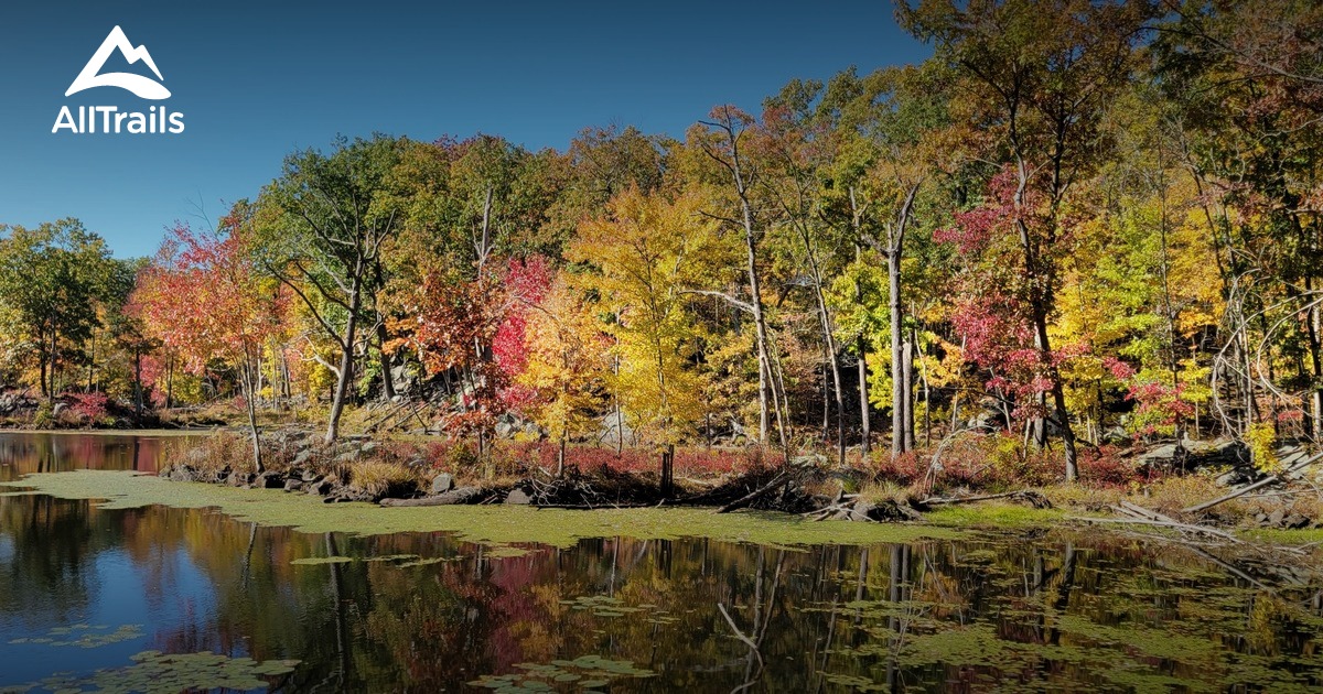 Best hikes and trails in Salt Hill State Forest | AllTrails