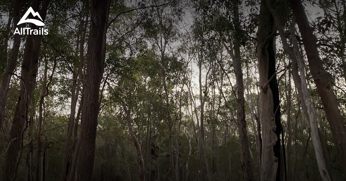 Best hikes and trails in Booragoon Lake Reserve | AllTrails