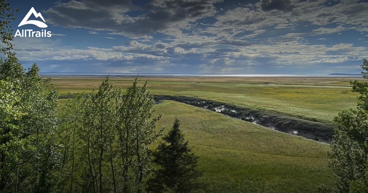 Best hikes and trails in Campbell Creek Estuary Natural Area | AllTrails