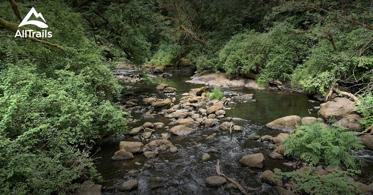 10 Best forest trails in Lacamas Regional Park | AllTrails