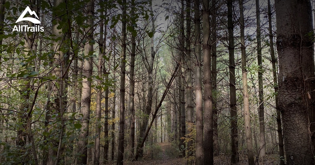 Best hikes and trails in Lake Whittaker Conservation Area | AllTrails
