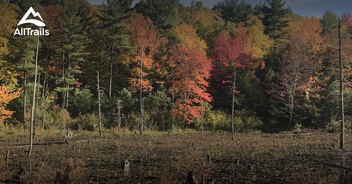Best hikes and trails in Williams Barn Sorhaug Woods | AllTrails