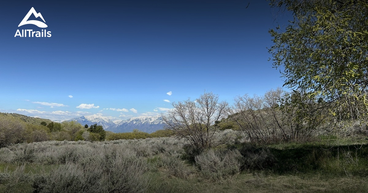 10 Best hikes and trails in Butterfield Trailhead Regional Park | AllTrails