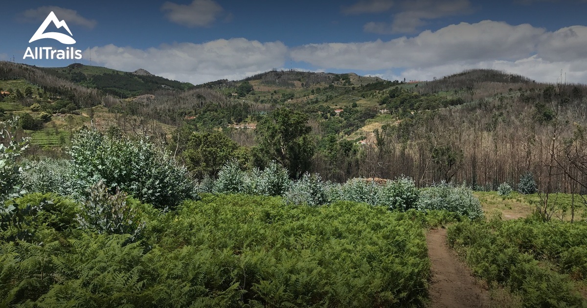 10 Best hikes and trails in Monchique Special Protection Area | AllTrails