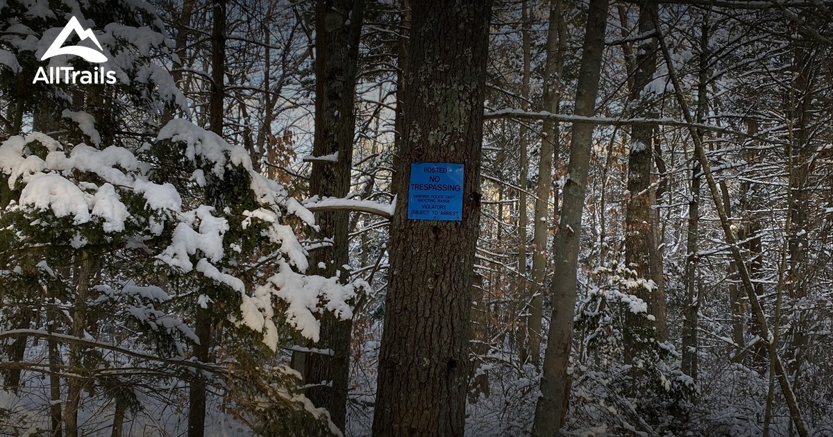 Best hikes and trails in Forge Pond Park | AllTrails