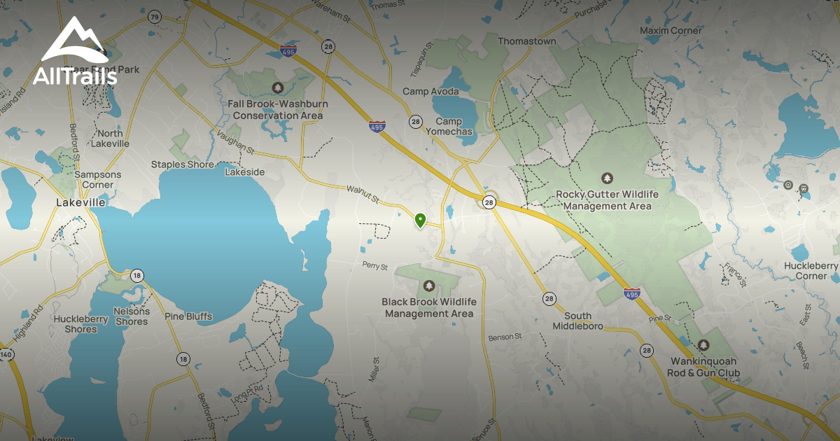 Best hikes and trails in Rock Village Preserve | AllTrails