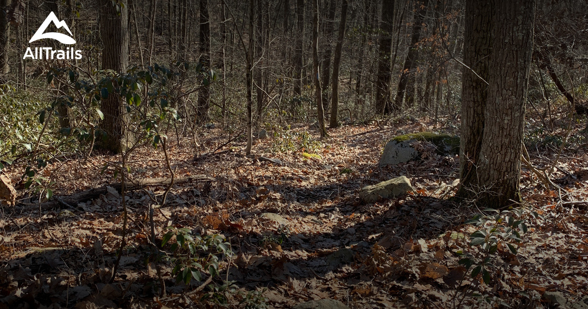 Best hikes and trails in Gallows Hill Natural Area | AllTrails