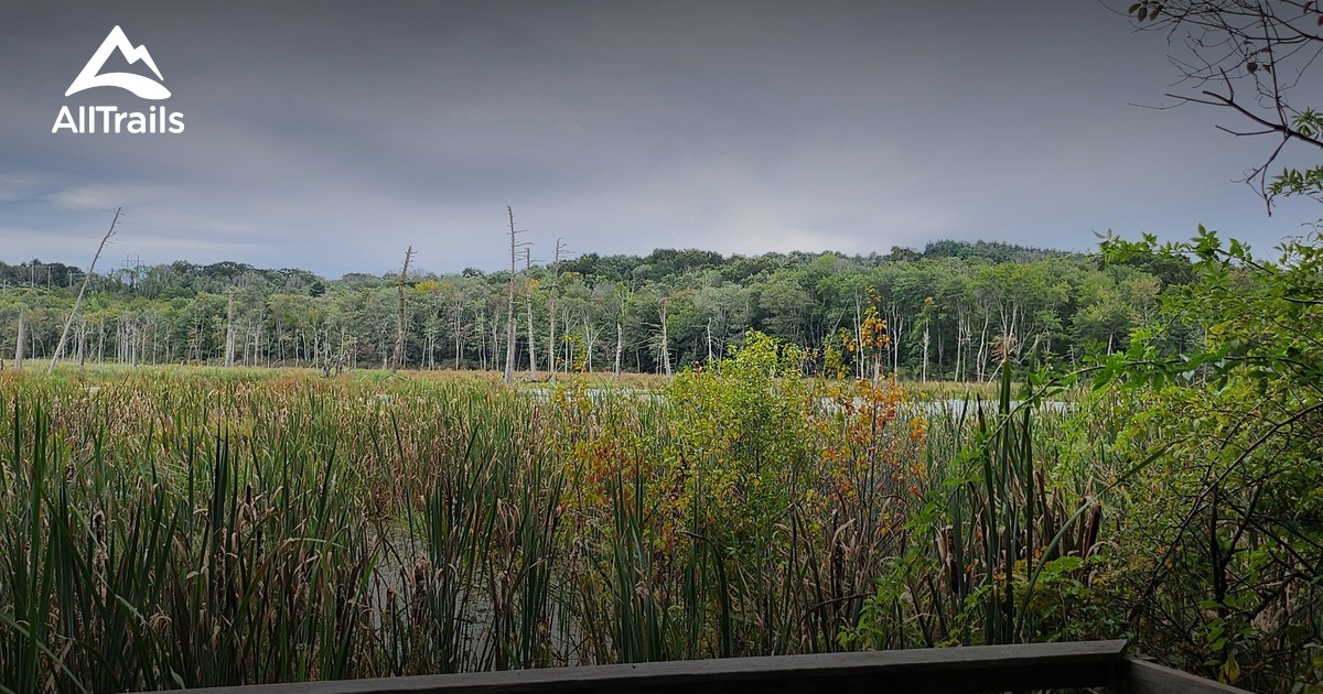 Best hikes and trails in Carter Fields | AllTrails