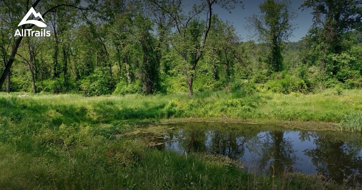 Best hikes and trails in Wizard Ranch | AllTrails