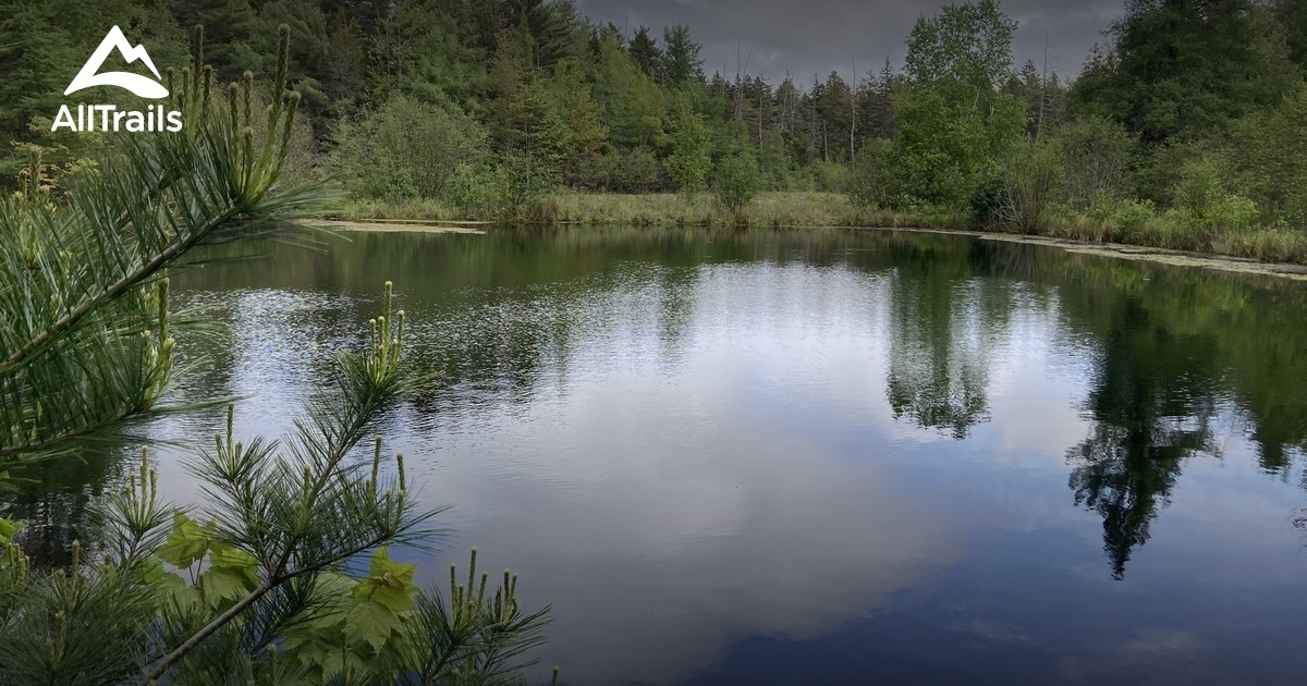 Best easy trails in Ice Pond Preserve | AllTrails