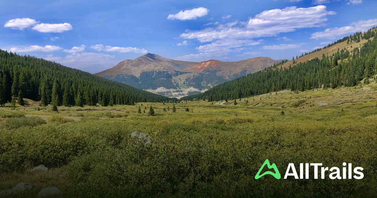 Best dog-friendly trails in Camp Hale - Continental Divide National ...