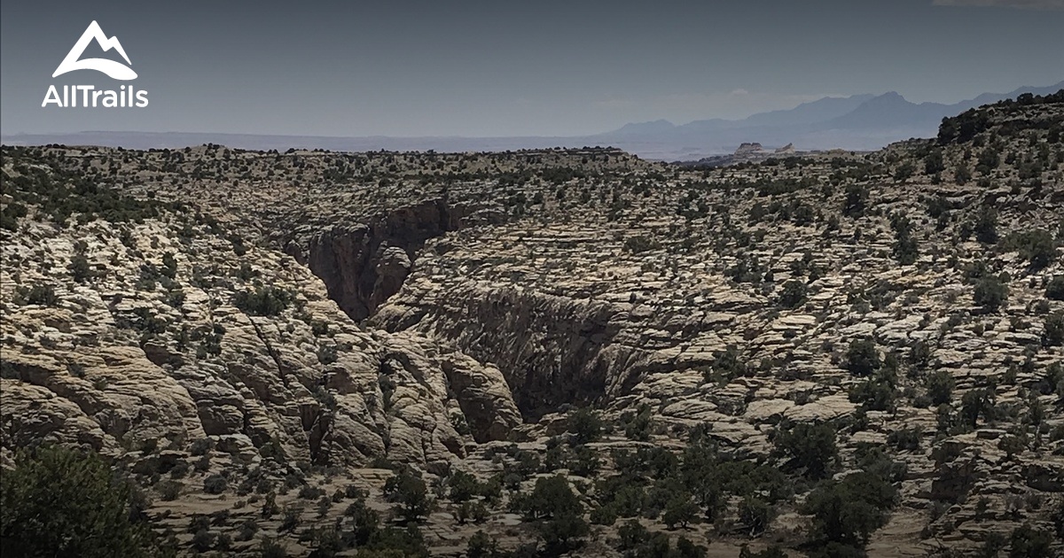 Najlepsze wycieczki i szlaki w: Little Ocean Draw Wilderness | AllTrails