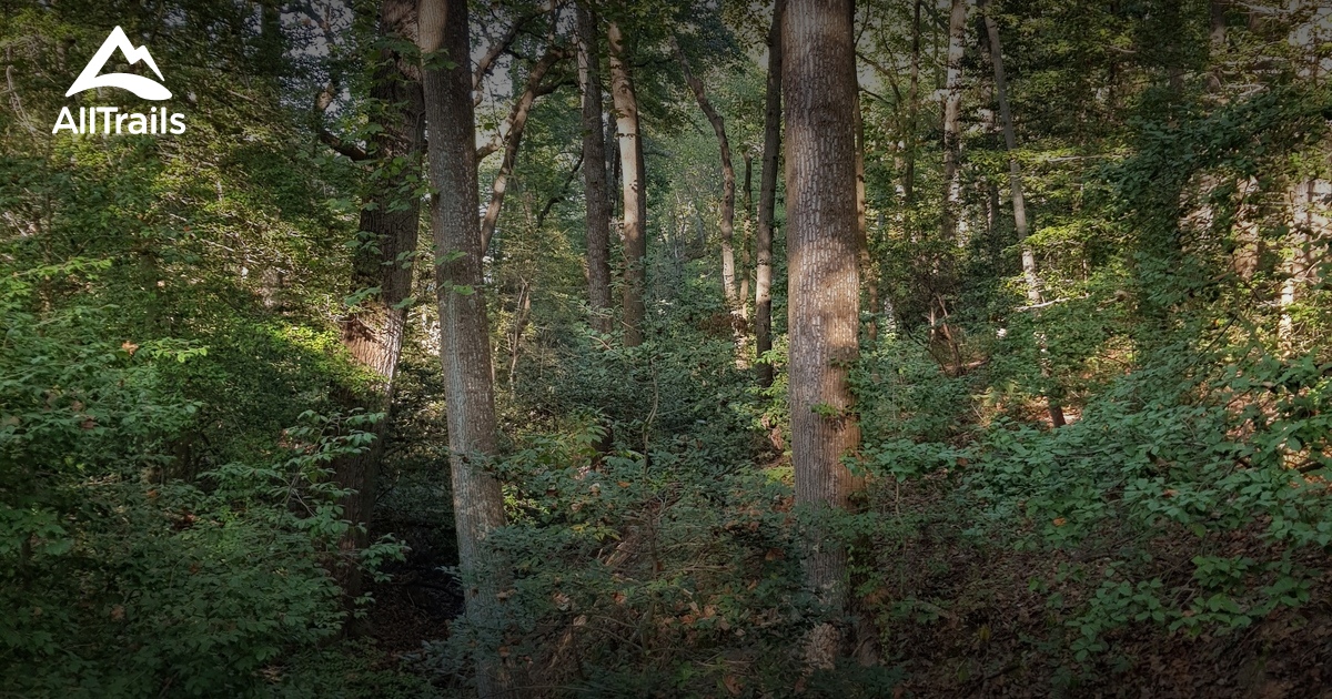 Best hikes and trails in Spriggs Farm Park | AllTrails