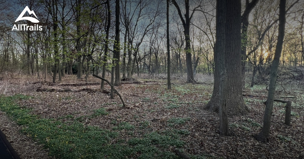 Best hikes and trails in Conant Park | AllTrails