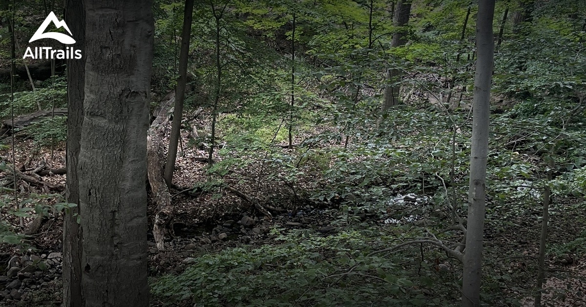 Best hikes and trails in Prospect Park | AllTrails