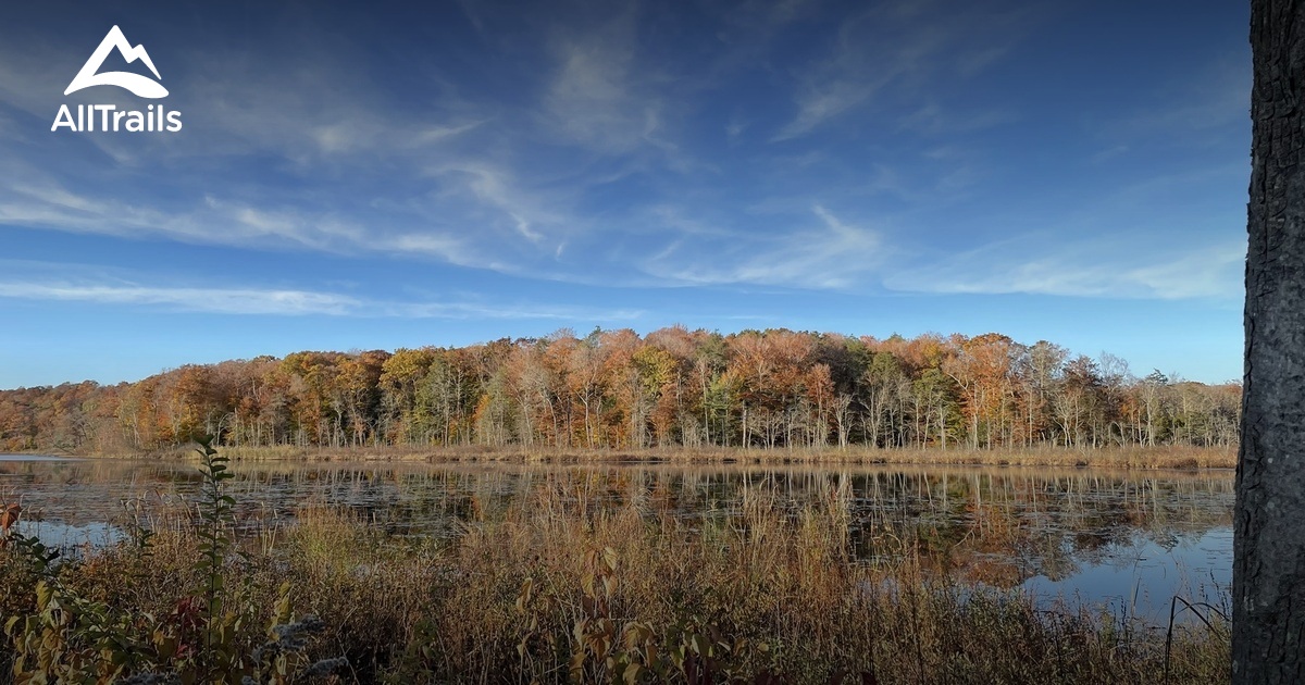 Best hikes and trails in Gordon College Woods | AllTrails