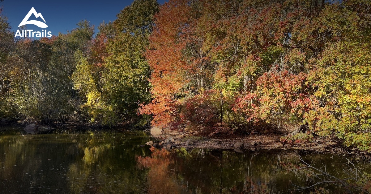 Best bird watching trails in Marblehead Neck Wildlife Sanctuary | AllTrails